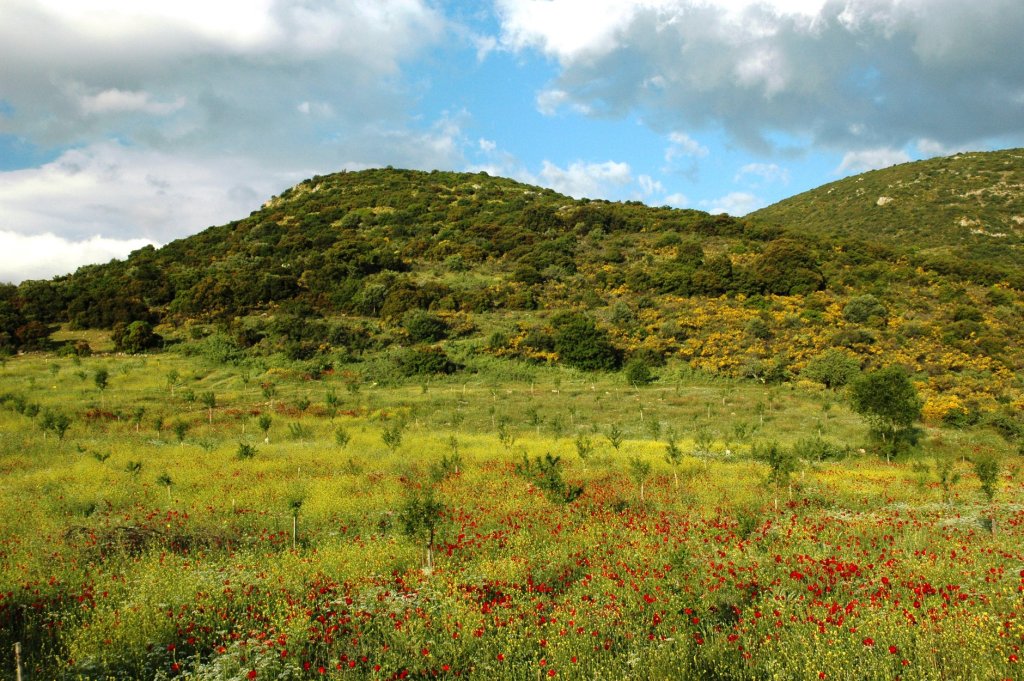 8) Wall – Elliniko (Greek) – astrosgr.com