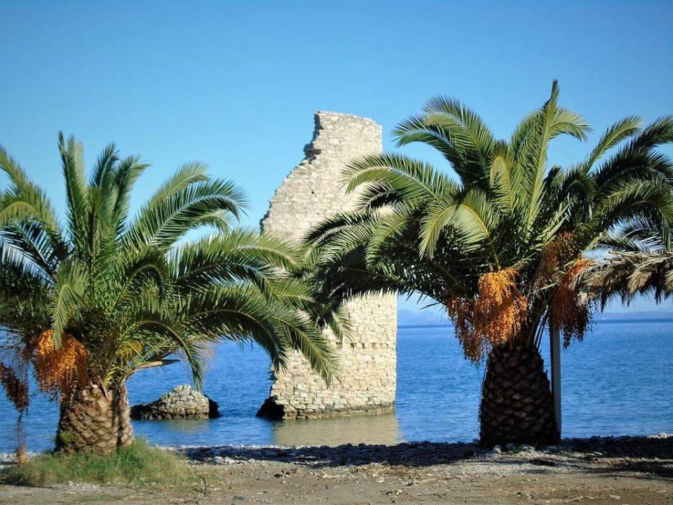 Agios Andreas of Arcadia – astrosgr.com – Το Ιστορικόν Άστρος Κυνουρίας